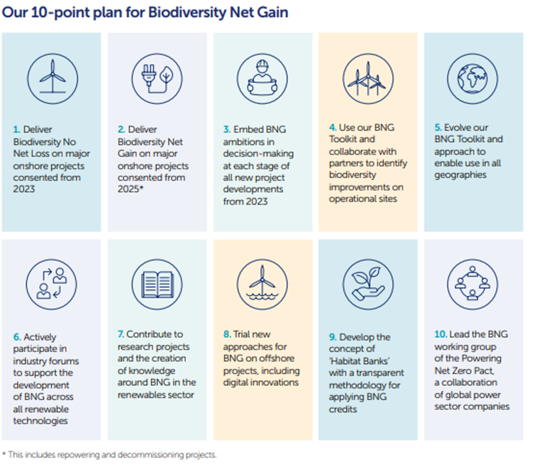 Biodiversity Net Gain | SSE Renewables Biodiversity Net Gain | SSE Renewables